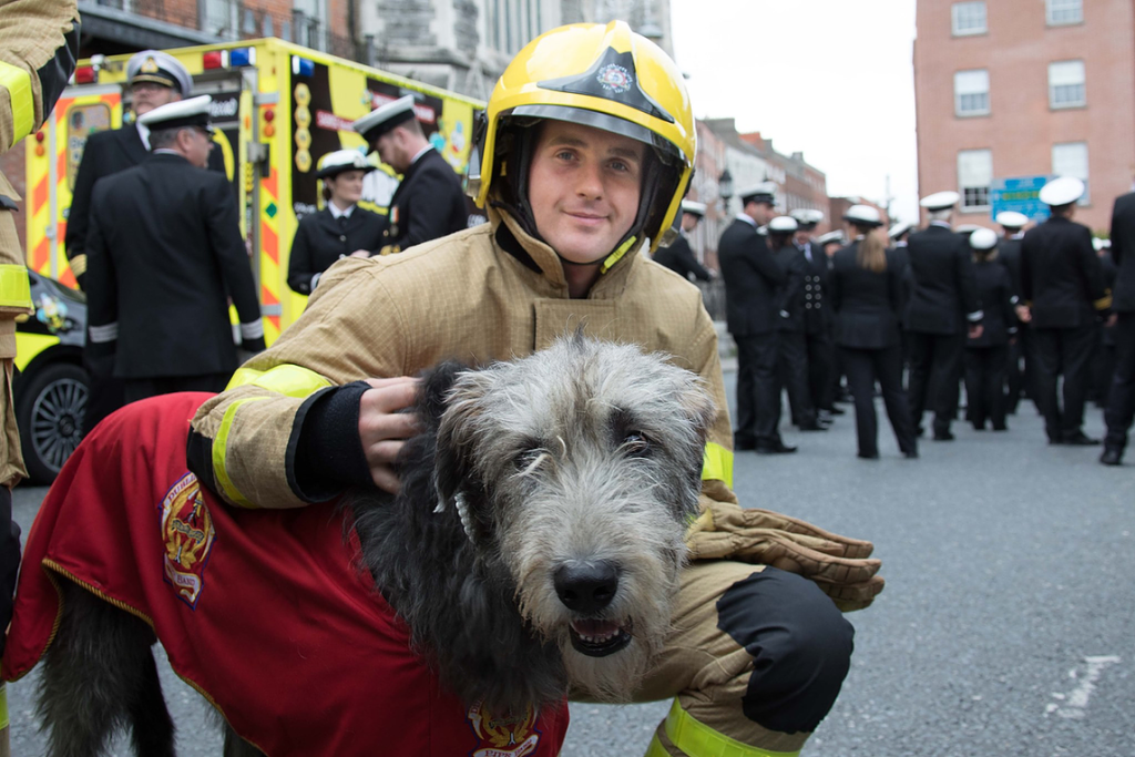 Fire Safety Week 2025 - Fire Ireland