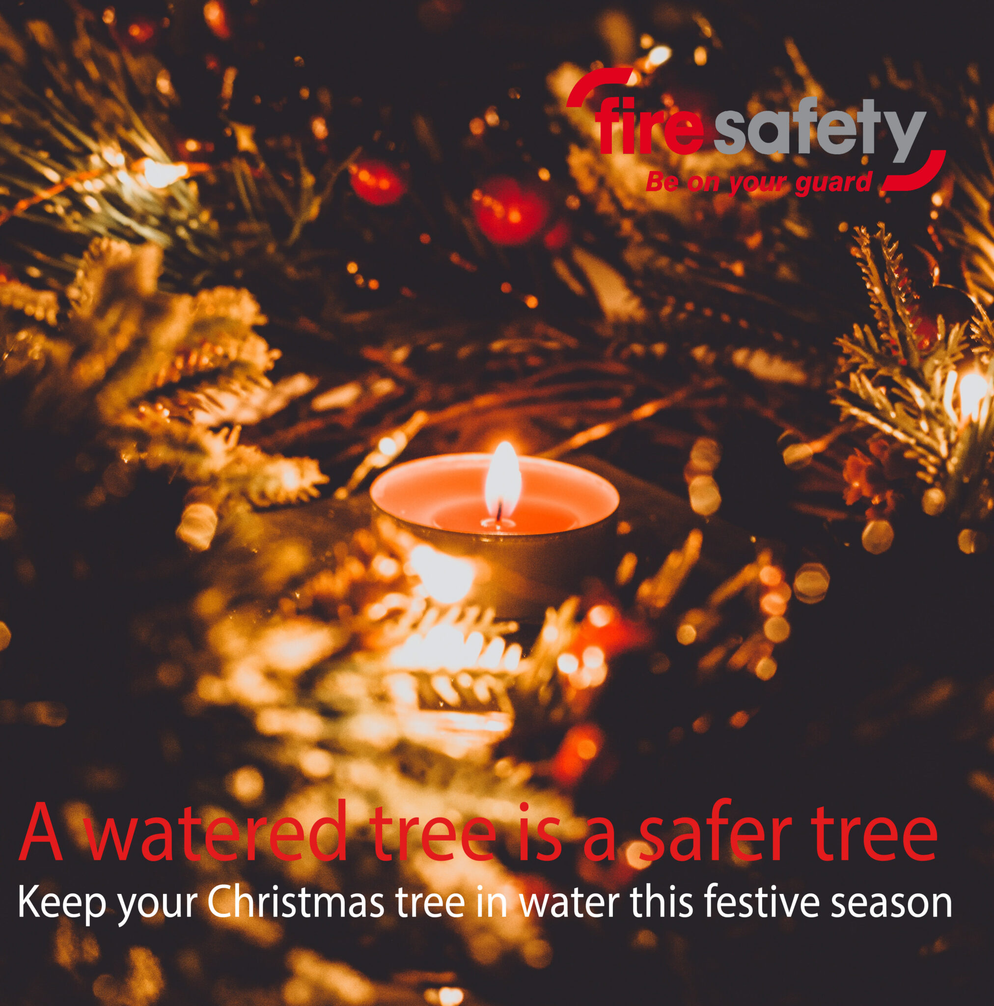 Water Your Christmas Tree or Risk Rapid Fire Spread - Fire Ireland